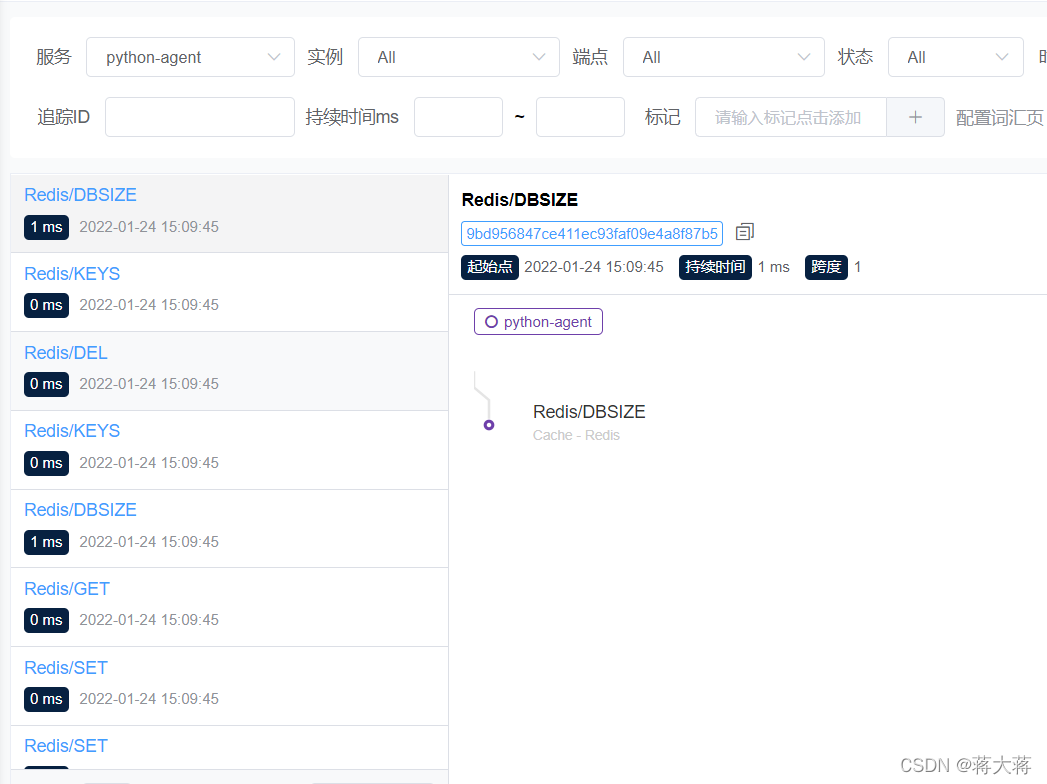 Python应用接入skywalking实现apm监控_skywalking python-CSDN博客