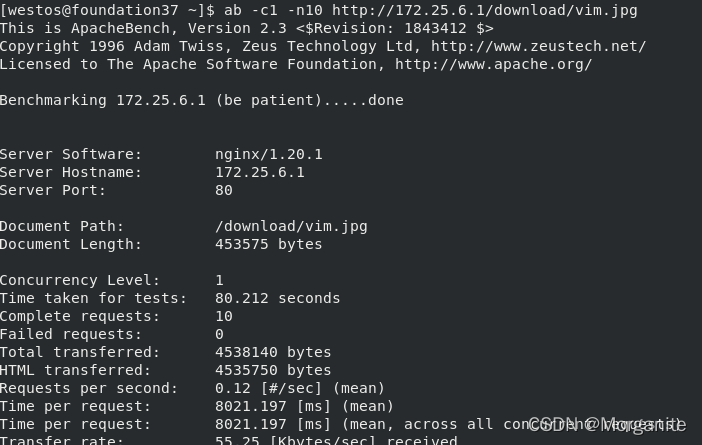 nginx的限流和配置管理_nginx autoindex on;-CSDN博客
