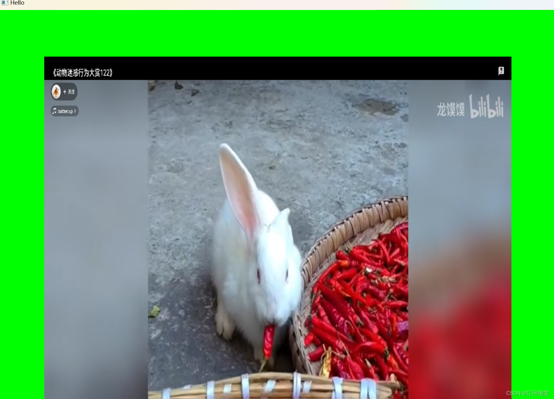 SDL2学习_sdl2 画矩形-CSDN博客