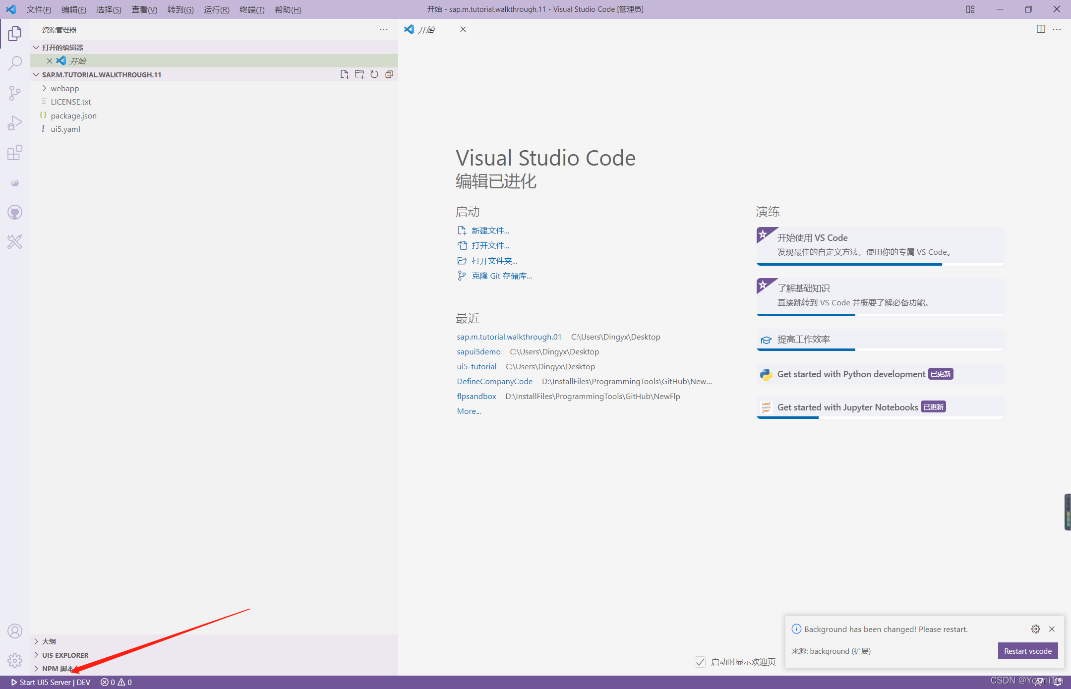 VS Code 启动SAP UI5应用_vscode如何运行sap ui5-CSDN博客