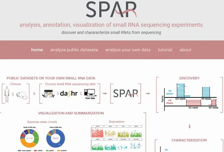 一个逆天的small RNA-seq数据挖掘神器_rna-seq数据库-CSDN博客