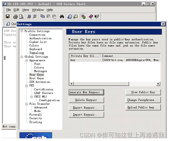 华为数通网络——配置SSH终端服务RSA验证方式示例_ssh server publickey rsa-CSDN博客
