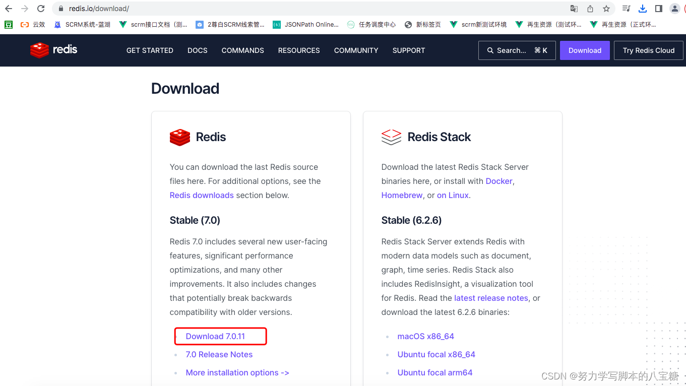 搭建测试环境（Linux、mysql、jdk、tomcat、nginx、redis、maven)-CSDN博客