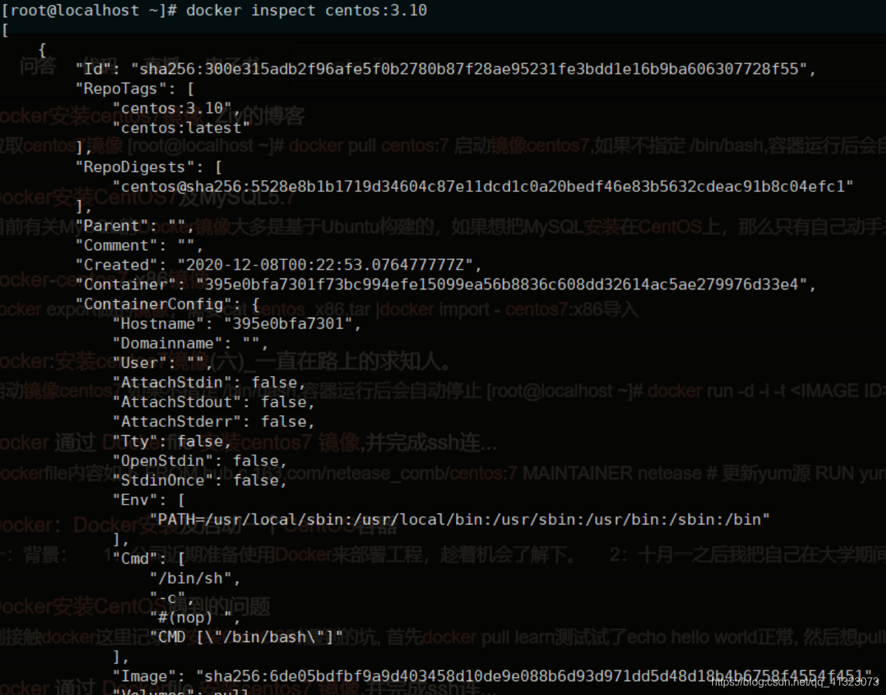 使用Docker镜像_镜像id,带sha256-CSDN博客