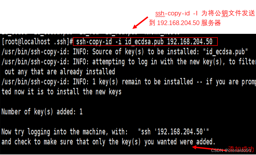 Linux网络服务：SSH远程访问及控制2_linux ecdsa-CSDN博客