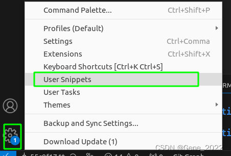 【Tool】vscode 配置 —— snippets、todo tree、ssh远程连接_vscode snippets-CSDN博客