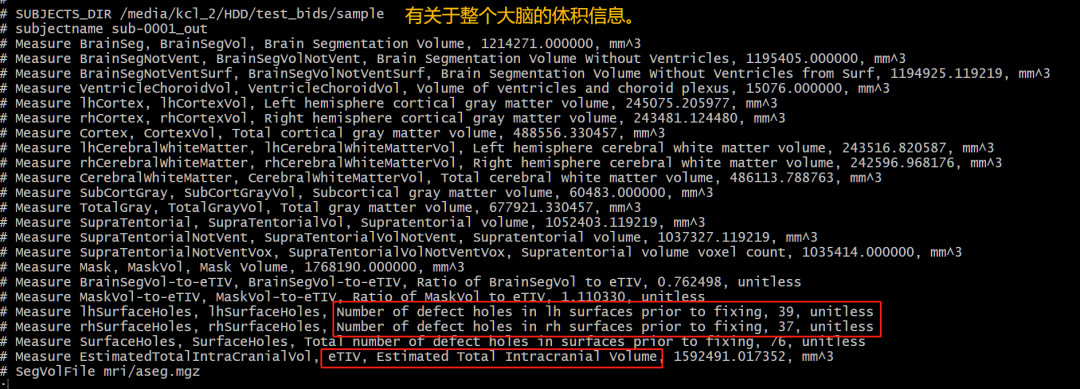 用bash直接提取freesufer统计数据-CSDN博客