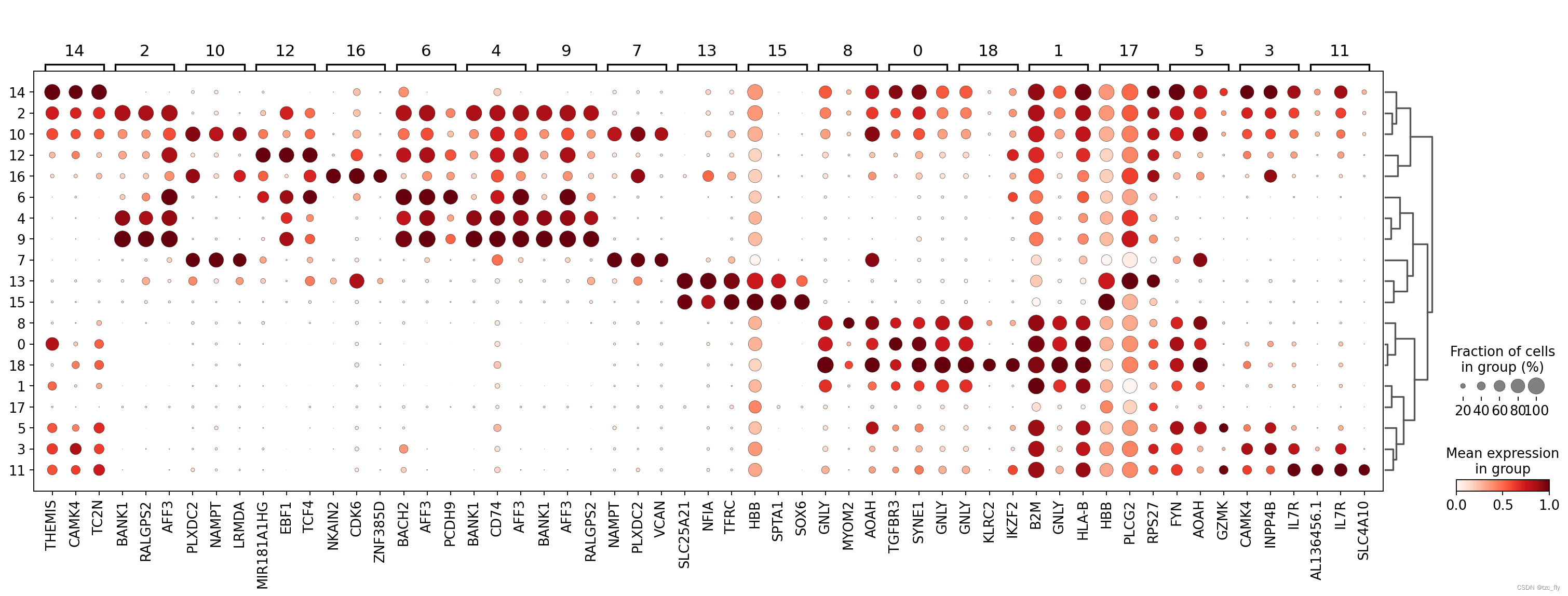 3.基于python的scRNA-seq细胞类型注释-手动注释_python细胞注释-CSDN博客
