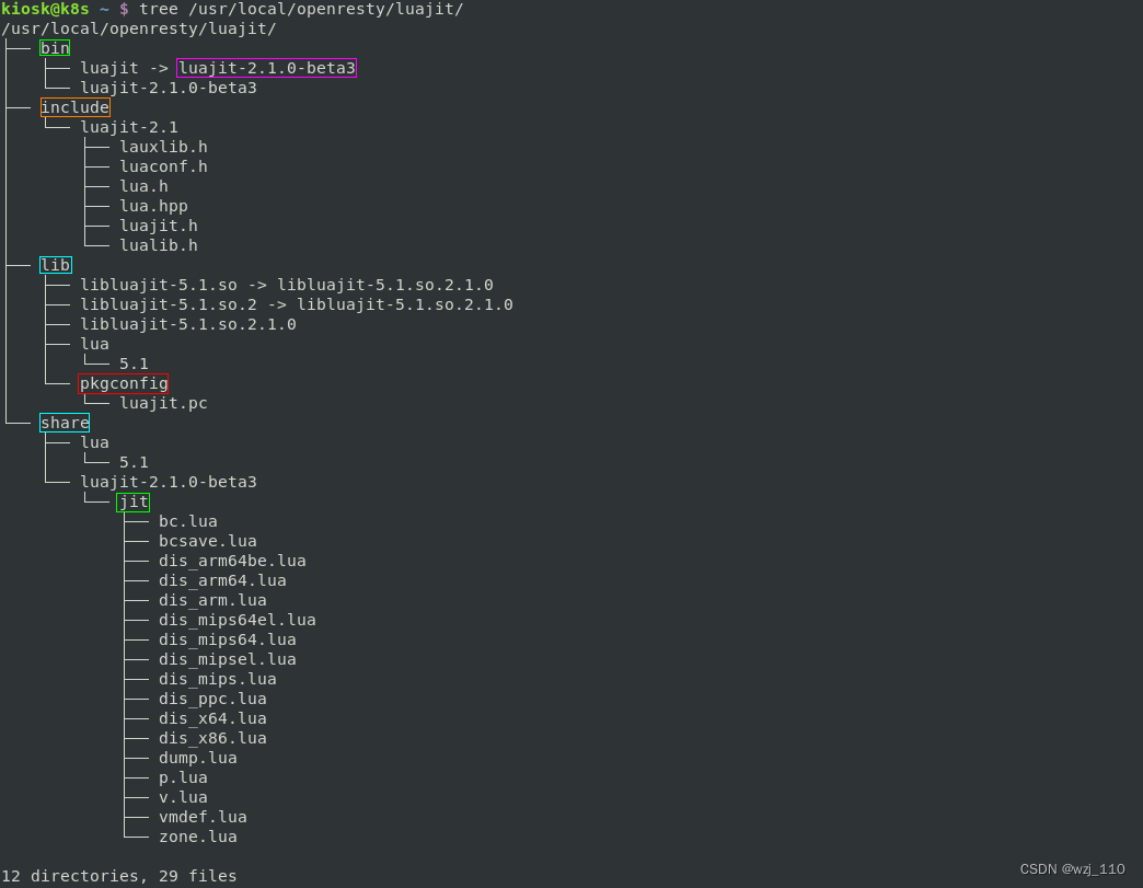 Openresty原理概念篇(五) 隐藏在openresty背后的子项目_openresty 目录-CSDN博客