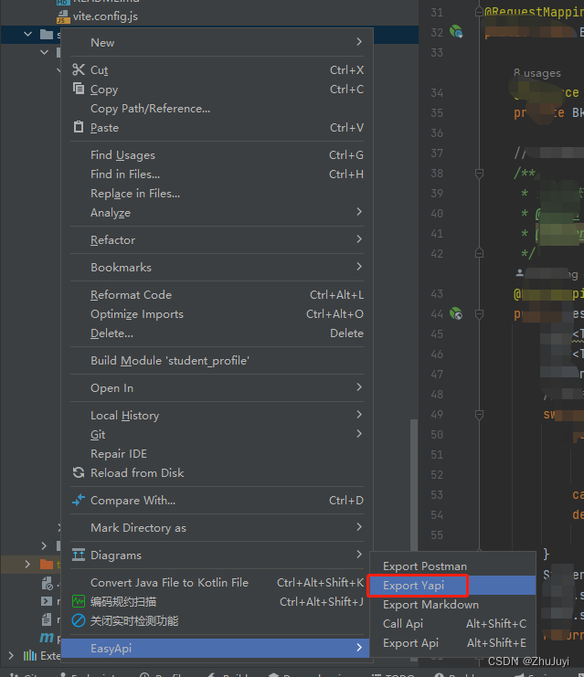 idea配置yapi，实现接口管理-CSDN博客