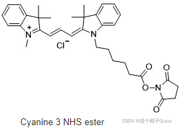 花氰染料Cy3-NHS ester,Cy3-琥珀酰亚胺/活化酯磺化处理的意义-CSDN博客