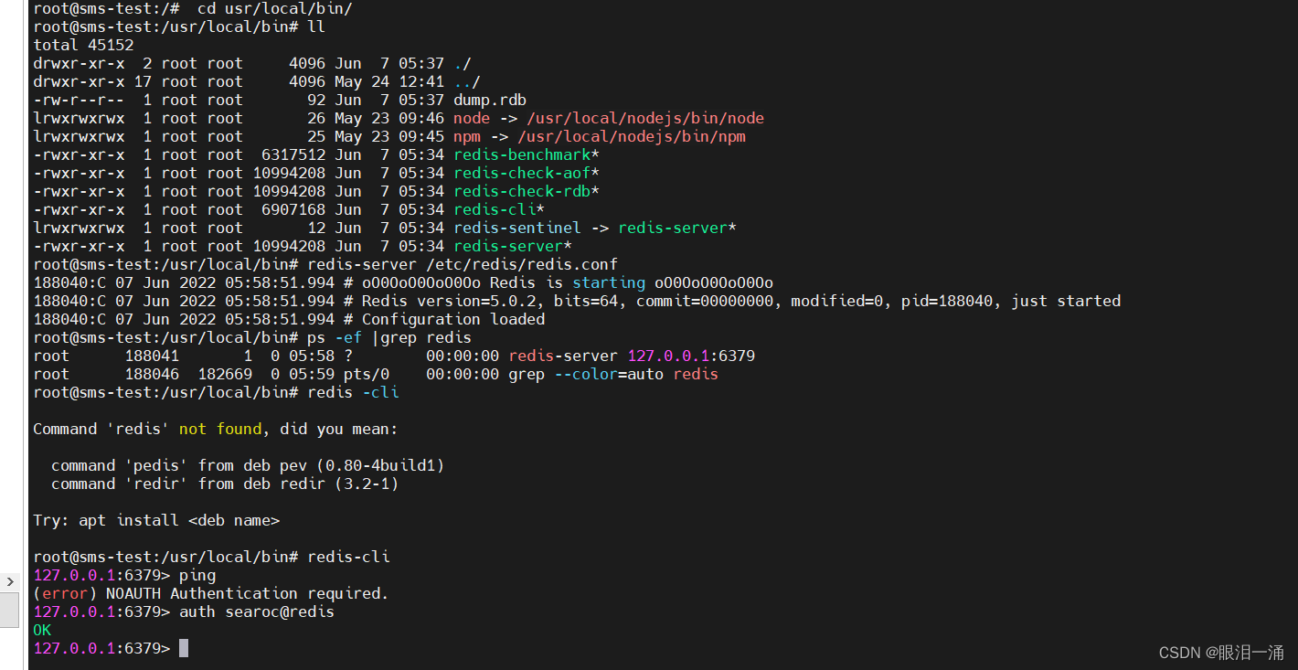 Redis在linux中的安装步骤_linux安装redis-6.2.11.tar.gz到挂载数据盘-CSDN博客