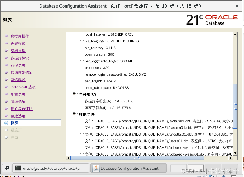 Linux 安装oracle 21c_oracle21c下载-CSDN博客