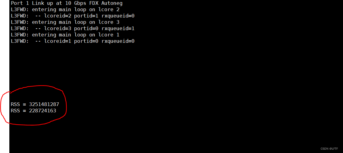 【DPDK】dpdk样例源码解析之五：dpdk-rss_dpdk rss-CSDN博客