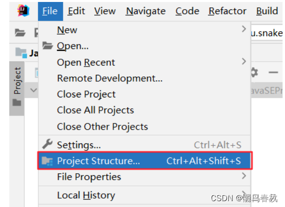 IDEA中的Project工程、Module模块的概念及创建导入_idea module-CSDN博客
