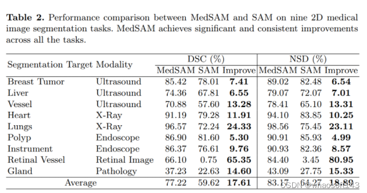 Segment Anything~医学图像领域_医学图像 promt-CSDN博客