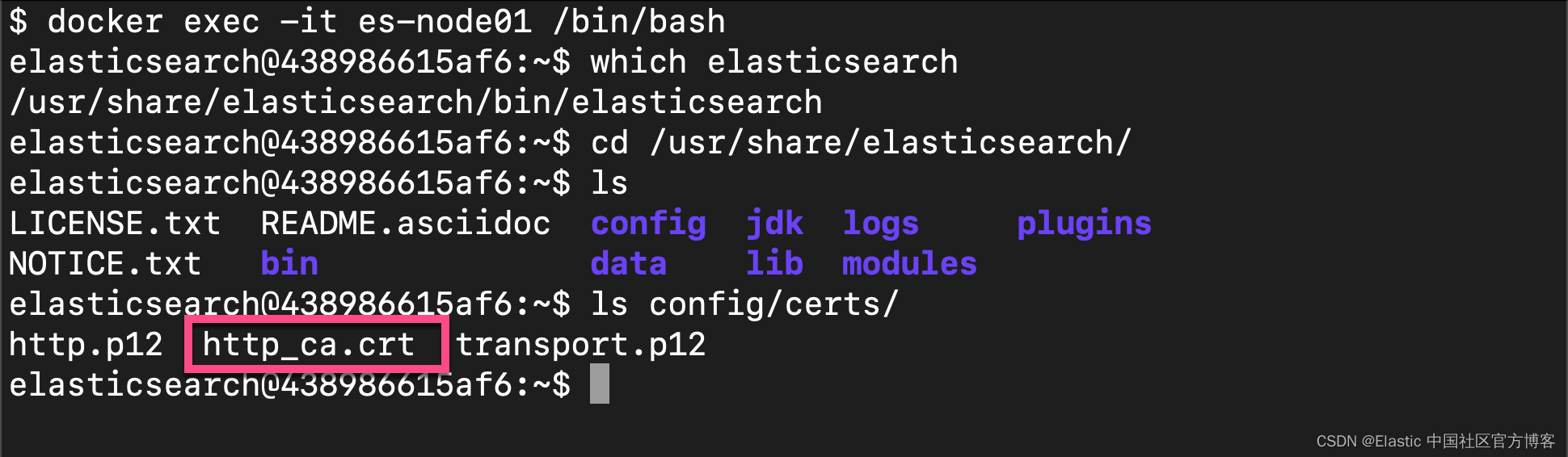Elastic：使用 Docker 安装 Elastic Stack 8.x 并开始使用_docker安装elasticsearch8-CSDN博客