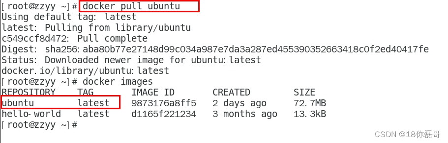 Docker常用命令-CSDN博客