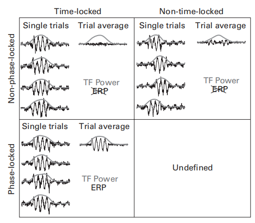 Analyzing Neural Time Series Data Chapter5_脑电图phase–locked oscillation-CSDN博客