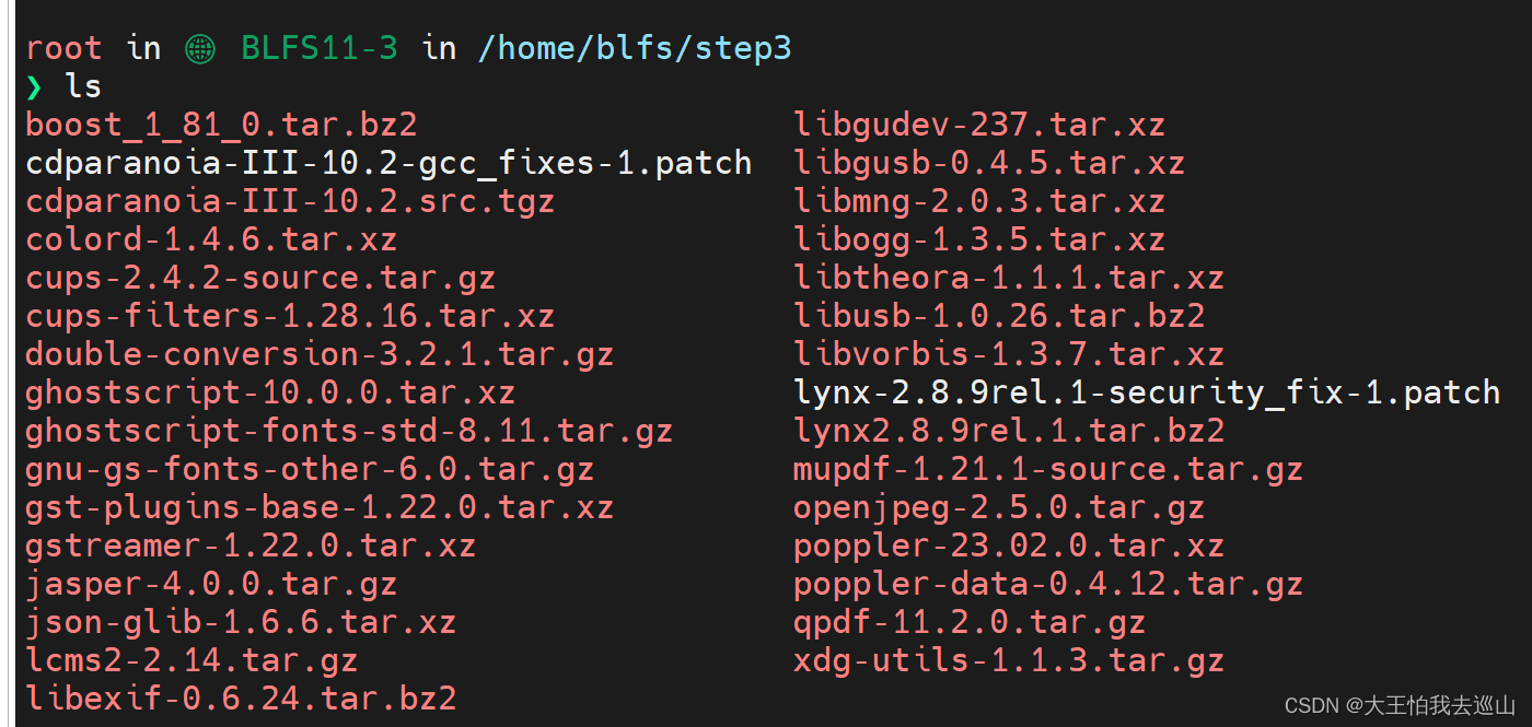 blfs：为lfs虚拟机增加桌面03_给 lfs添加桌面-CSDN博客