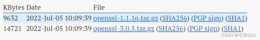 OpenSSL3.0.5安装_openssl官网-CSDN博客