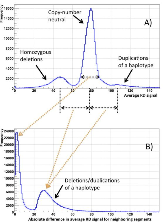 CNVnator：基于Read Depth的CNV检测方法解析-CSDN博客
