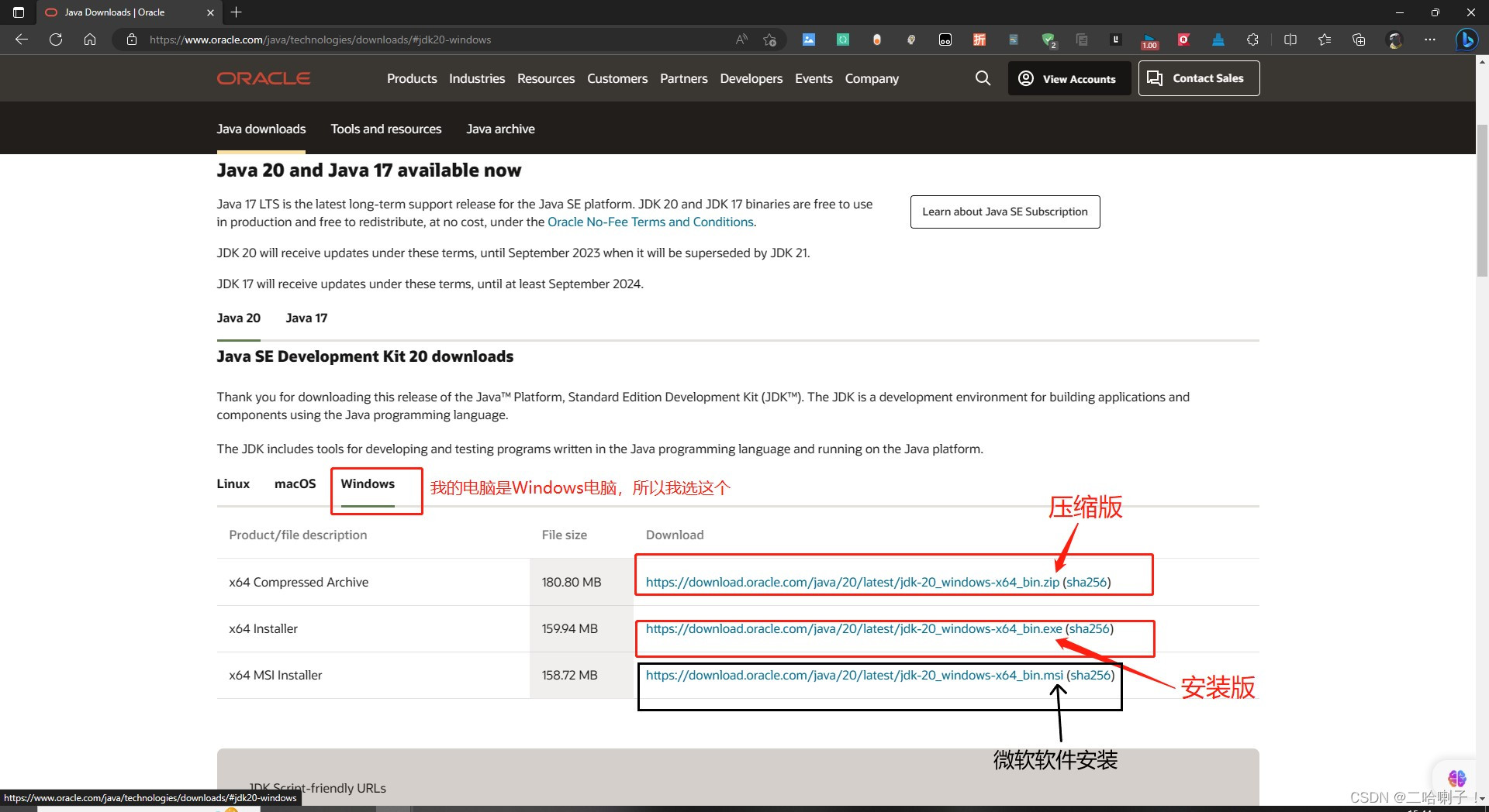 Java环境变量配置步骤及测试jdk的下载 And 安装 And 环境配置教程java环境测试 Csdn博客