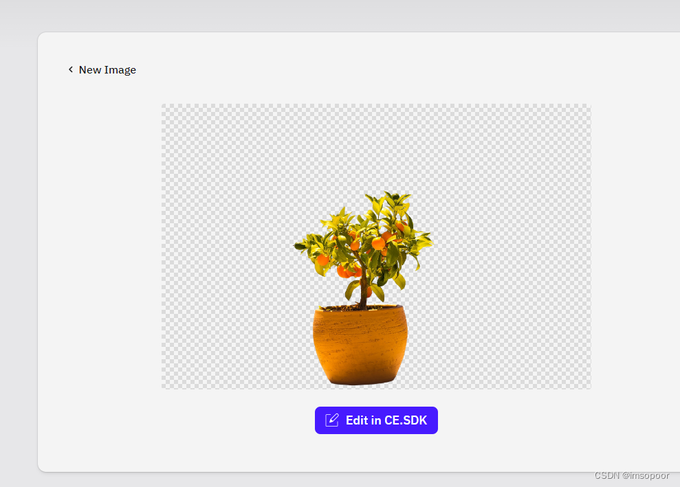 vue运行background-removal-js库-CSDN博客