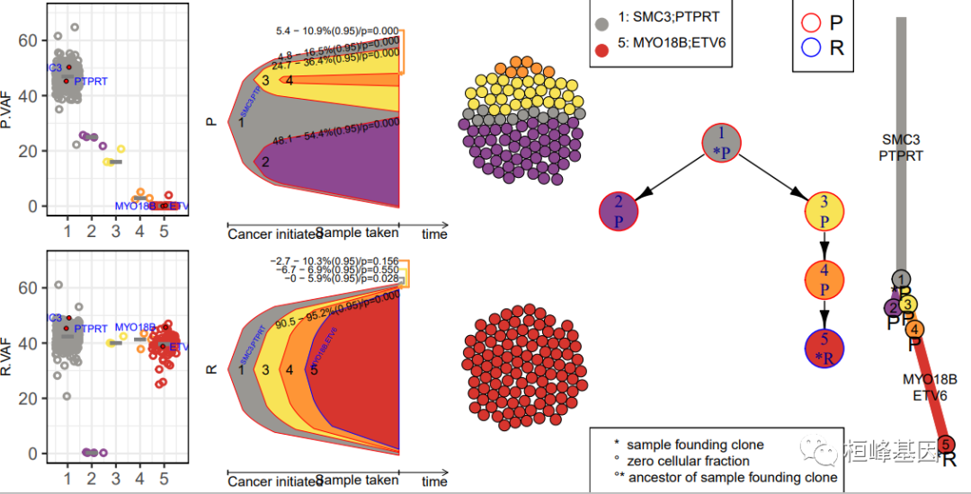 Topic 2.克隆进化之 ClonEvol_pyclone sciclone-CSDN博客