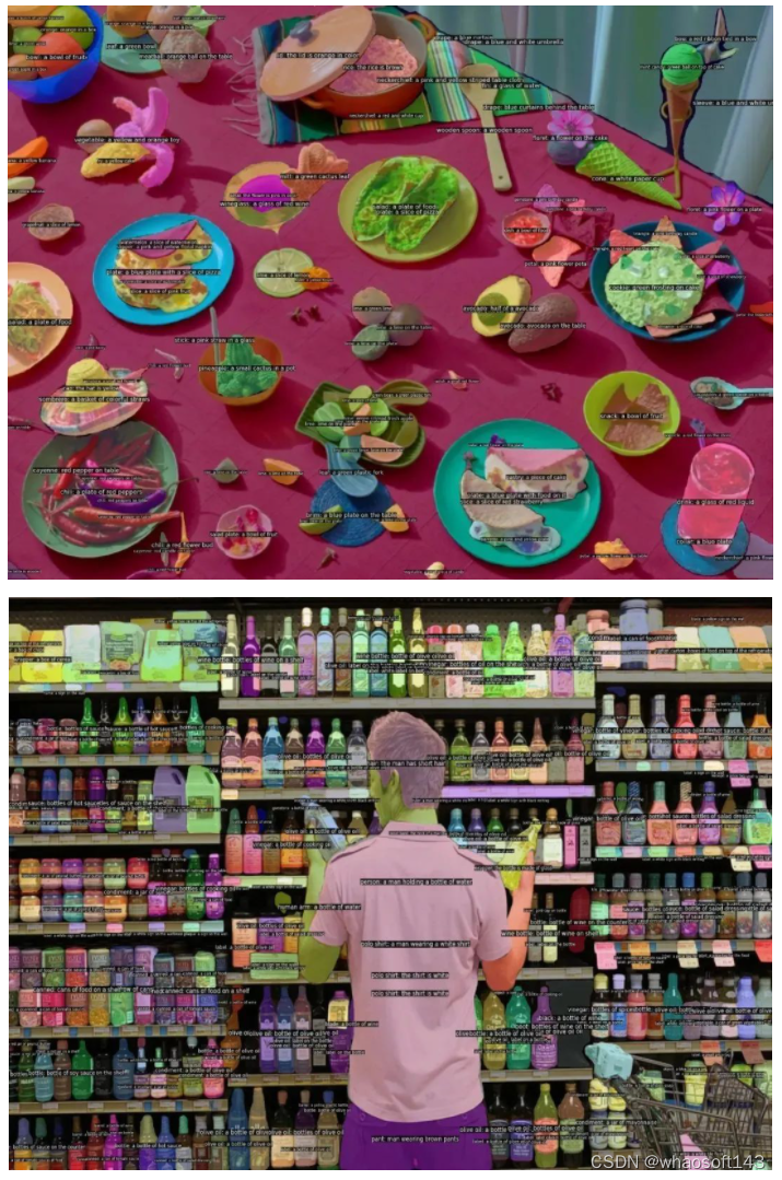 TAP (Tokenize Anything via Prompting)-CSDN博客