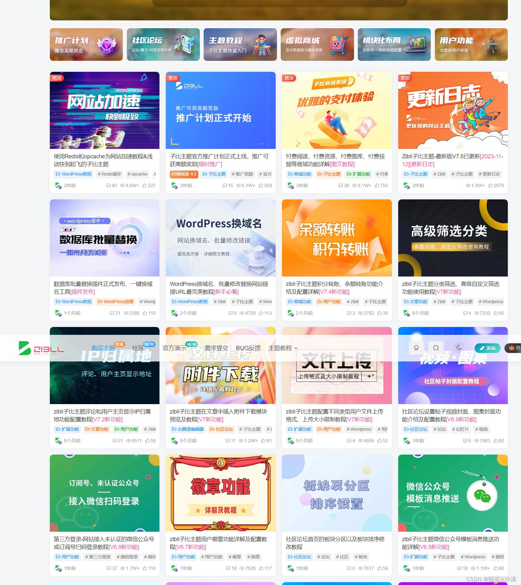 Zibll子比主题最新学习版_子比seo设置-CSDN博客