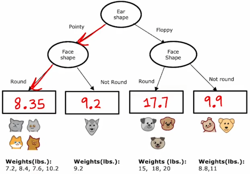 Course2-Week4-决策树_take a decision tree learning-CSDN博客