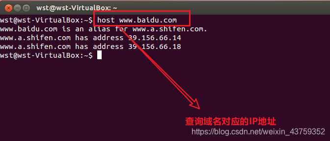 Linux常用命令（五）——hostname、ping、host命令_linux ping hostname-CSDN博客