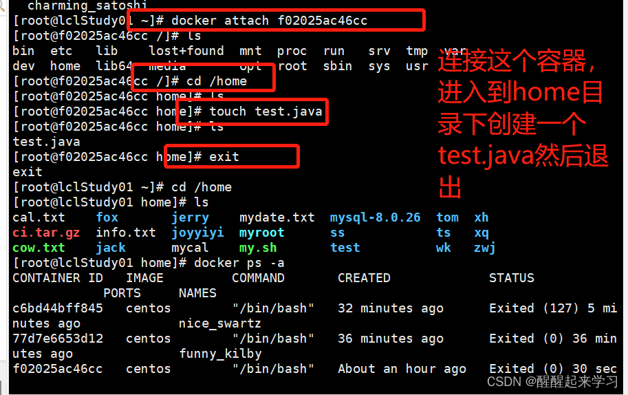 Docker的run流程_docker run -name-CSDN博客