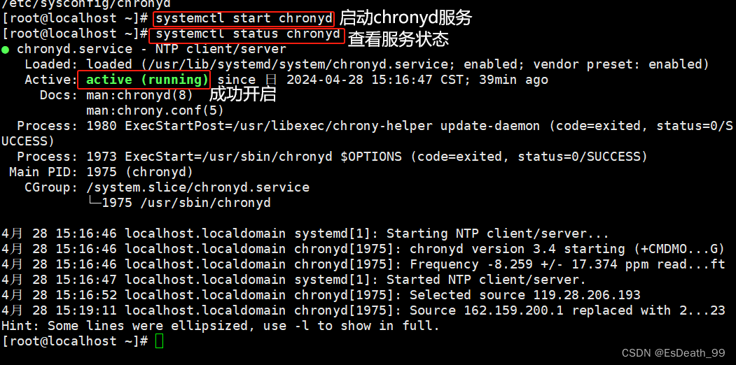 Linux网络服务-DHCP_linux dhcp获取ip地址-CSDN博客
