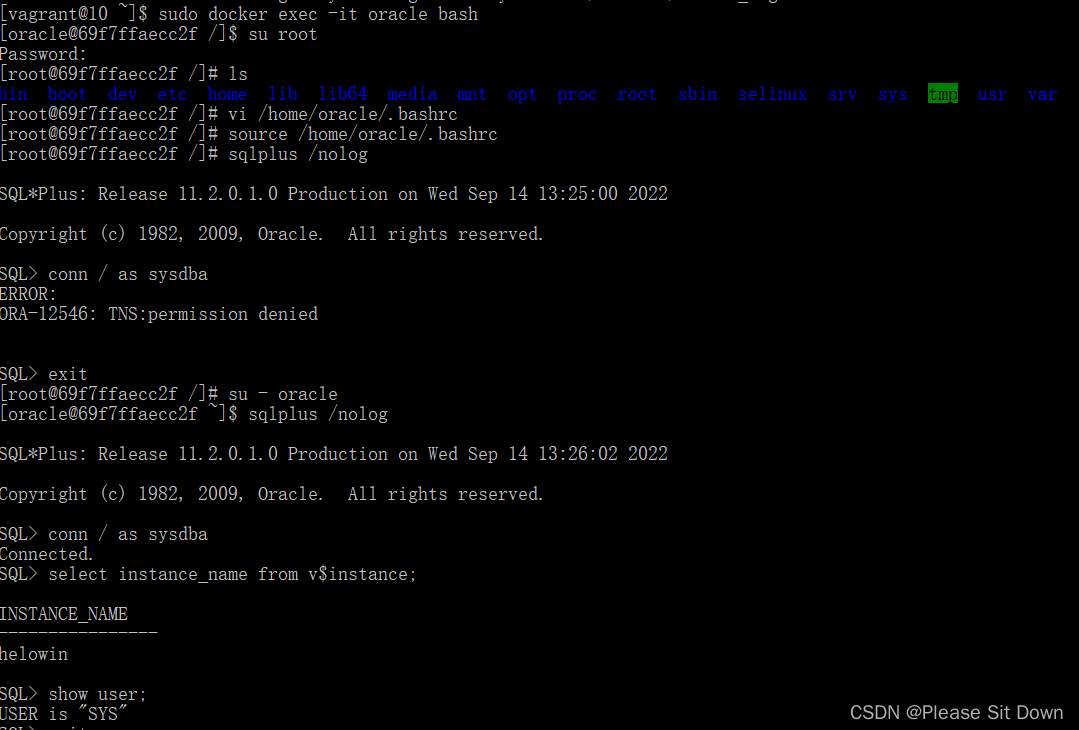 Docker 安装 Oracle 11g_oracle 11g 阿里docker-CSDN博客