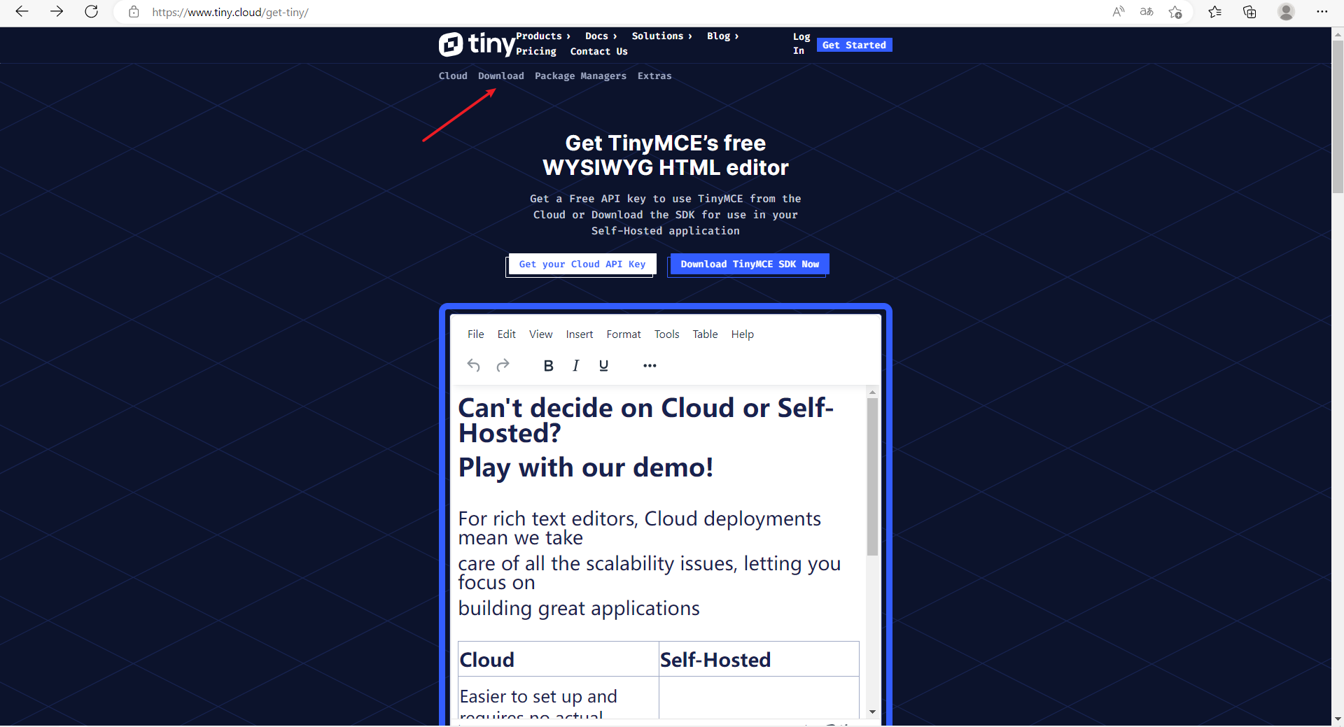 在 Nuxt 中使用 tinymce 富文本编辑器_nuxt tinymce-CSDN博客