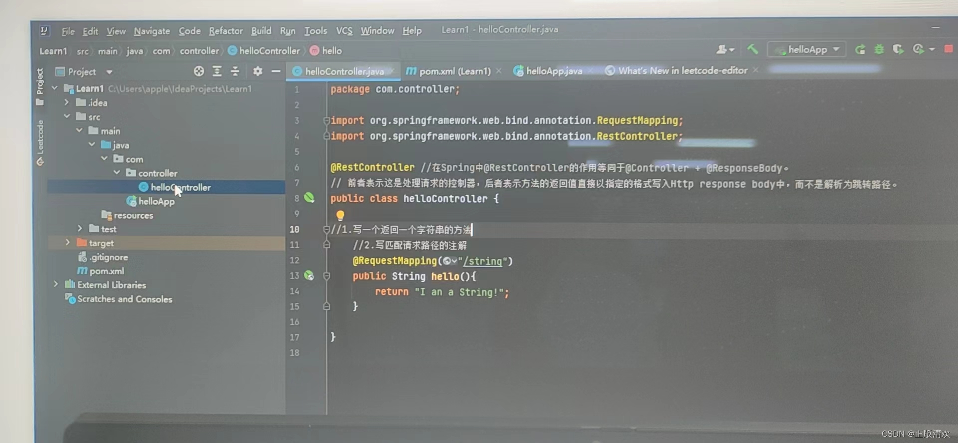 SpringBoot入门学习记录【自用】-CSDN博客