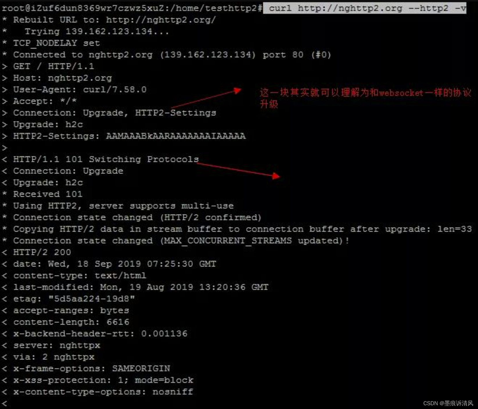 深入理解 Web 协议：HTTP 2_h2协议-CSDN博客