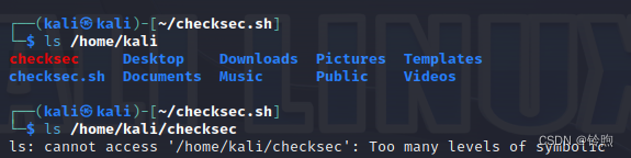 checksec：Too many levels of symbolic links-CSDN博客
