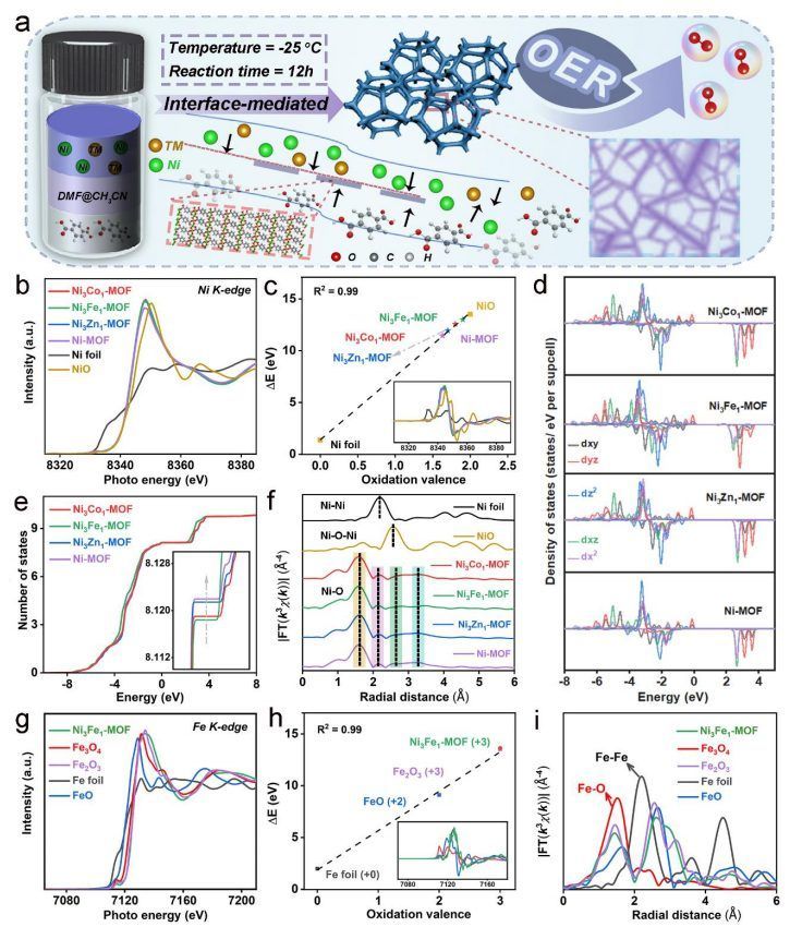 Angew：AI+DFT计算+实验验证，高效筛选OER催化剂_利用ai方法 进行催化剂筛选-CSDN博客