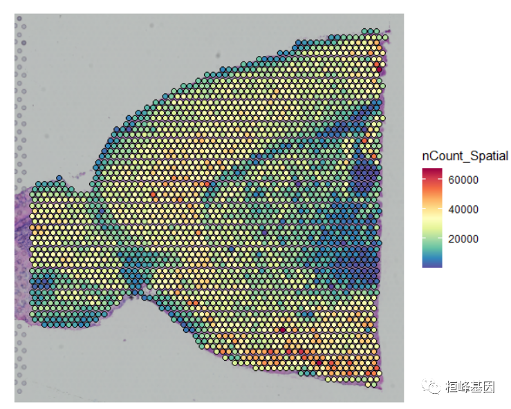 SCS【21】单细胞空间转录组可视化 (Seurat V5)-CSDN博客