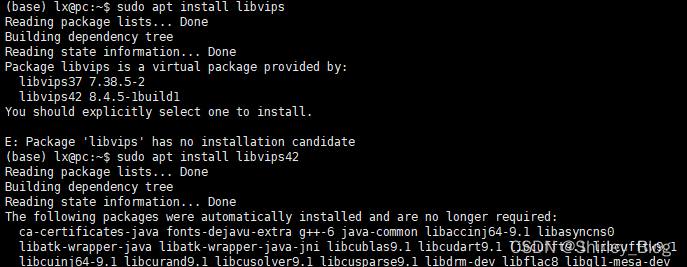 快速安装pyvips指南-CSDN博客