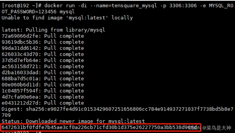 【最全最详细docker】用docker部署mysql、tomcat、nginx、redis 环境部署 一个docker包含tomcat