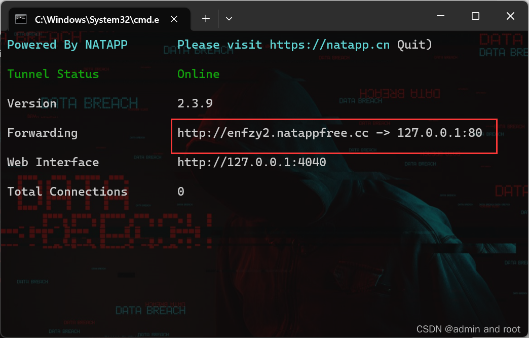 NATAPP使用详细教程（免费隧道内网映射）_natmap-CSDN博客