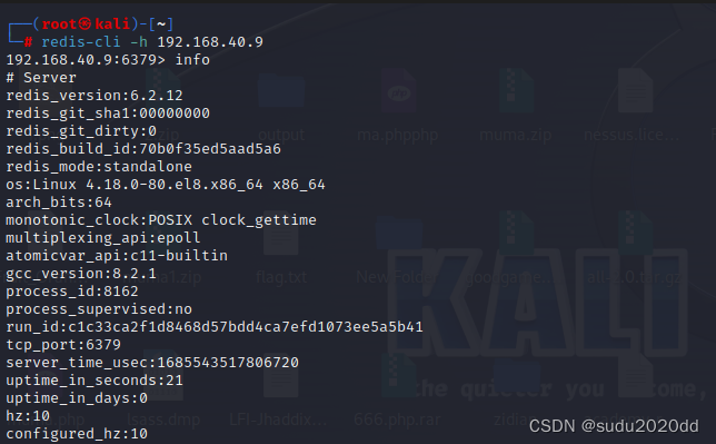 SSRF——手把手教你Redis反弹Shell-CSDN博客