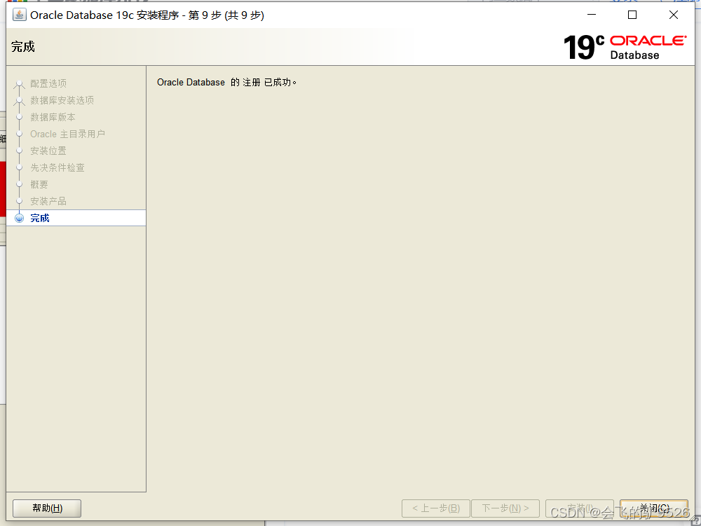 windows 系统下安装Oracle 19c database（图文详细教程）_oracle2019安装教程-CSDN博客