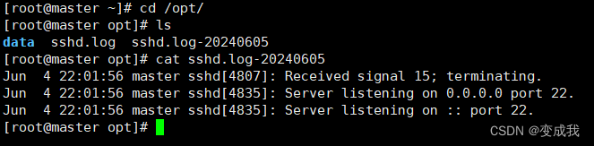 Linux文件系统与日志分析_linux messages-CSDN博客